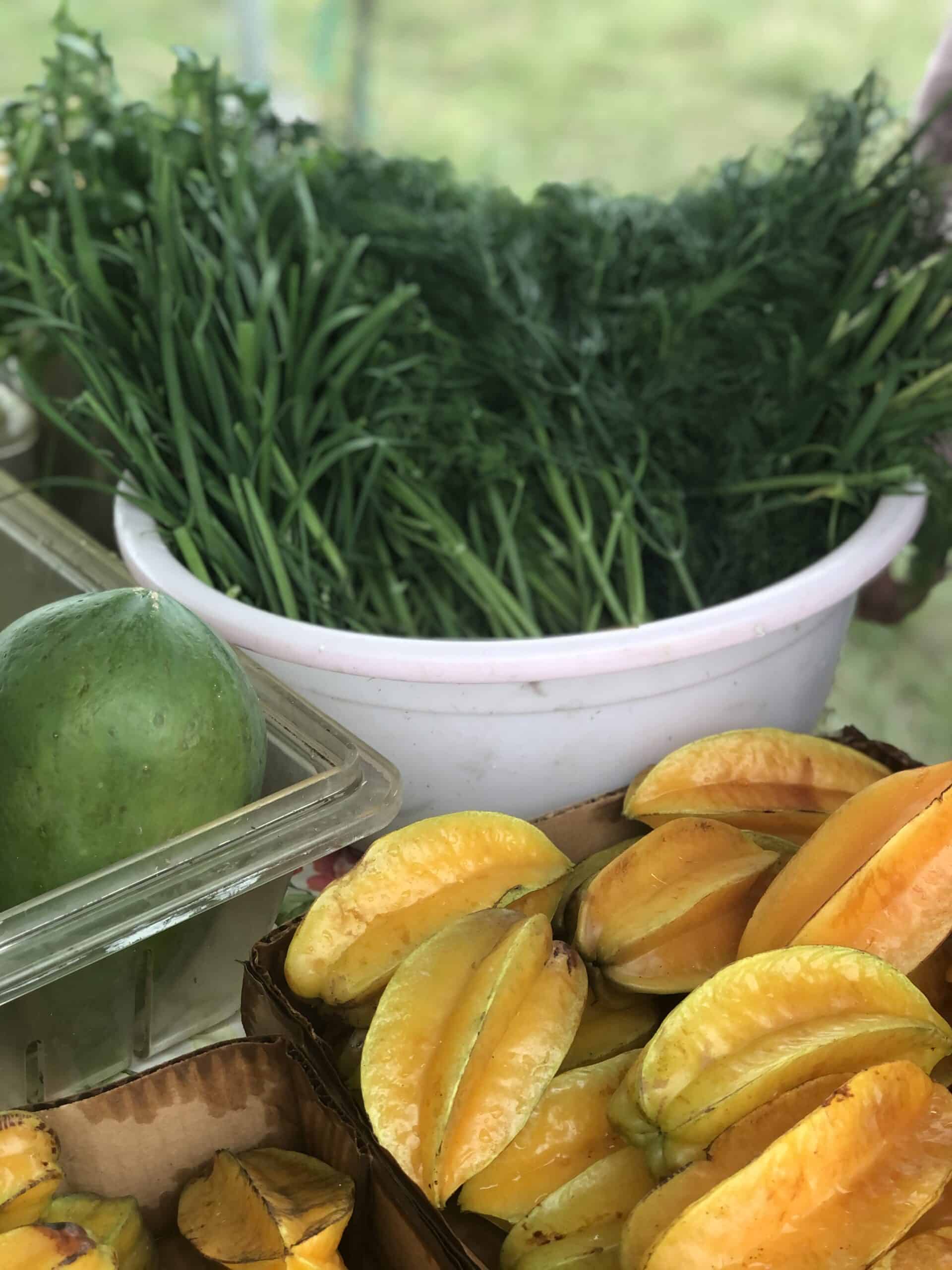 Amazing Things Your Family Will Love about the Farmers Market – Sandbox ...