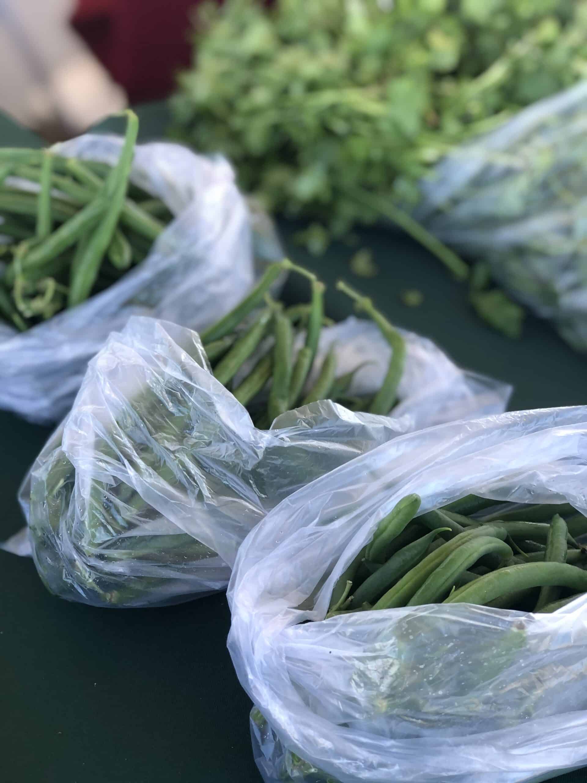 Amazing Things Your Family Will Love about the Farmers Market – Sandbox ...